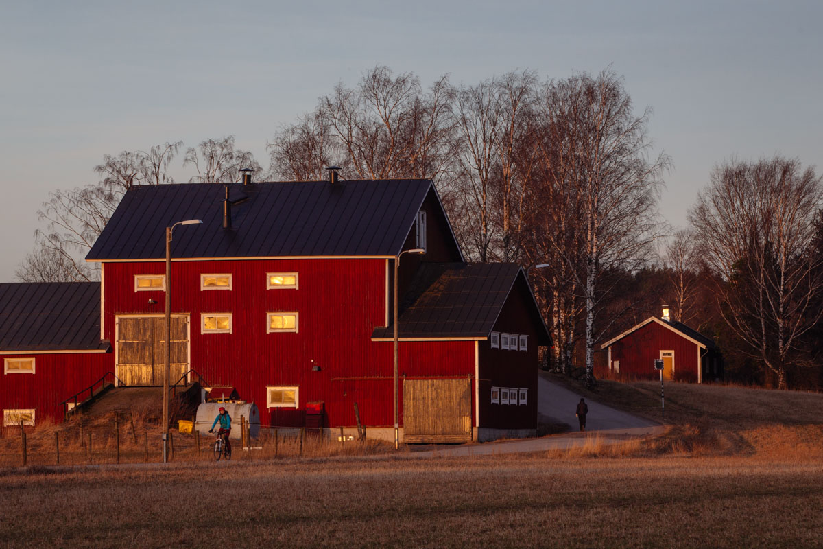 Finnish countryside and nature in Helsinki in pictures – Travel ...
