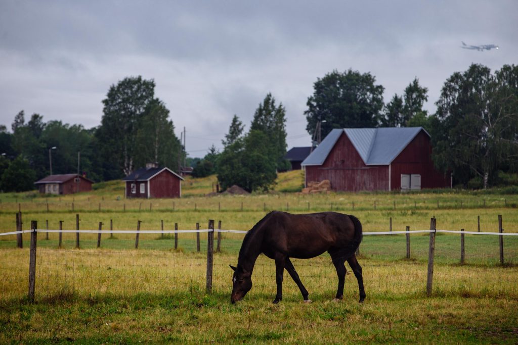 Finnish countryside and nature in Helsinki in pictures – Travel ...
